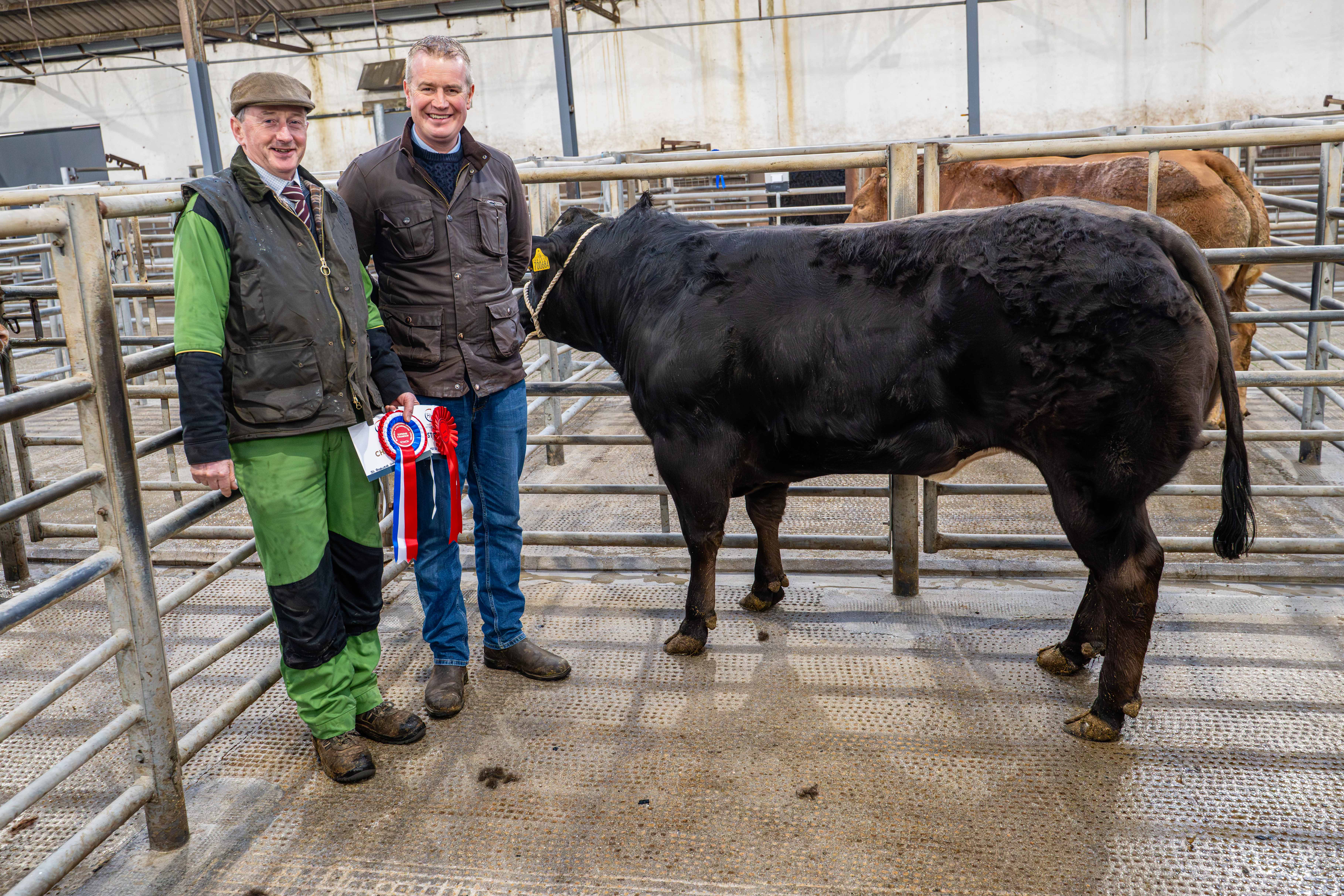 St Boswells Christmas Primestock Show & Sale