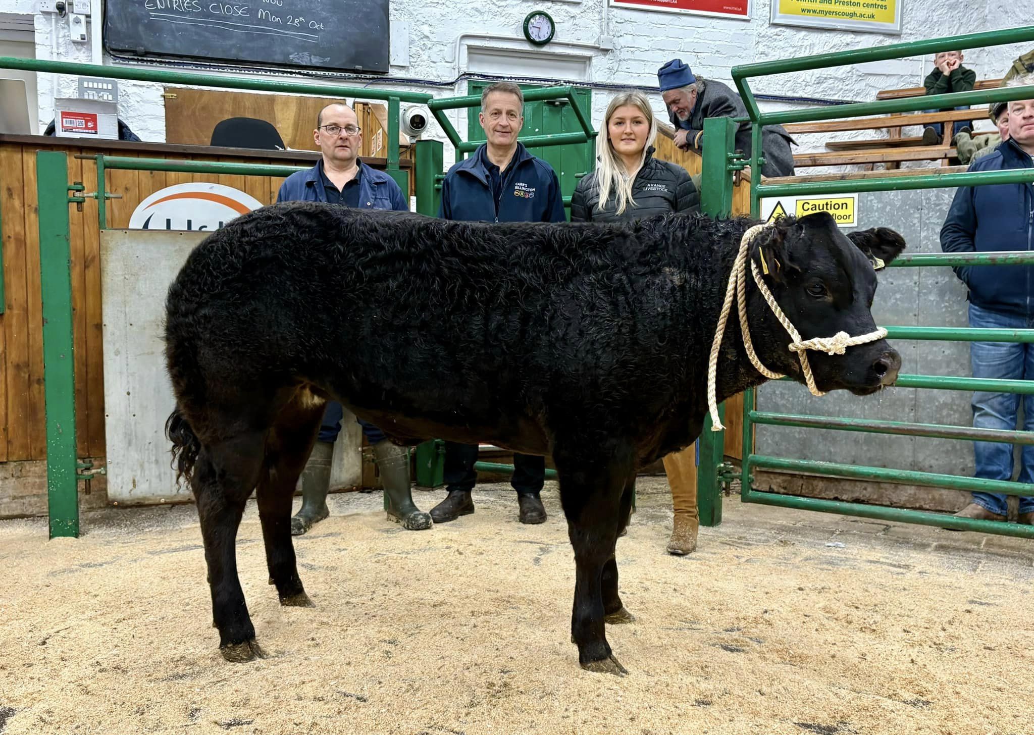 Kirkby Stephen Prize Show and Sale of Suckled Calves