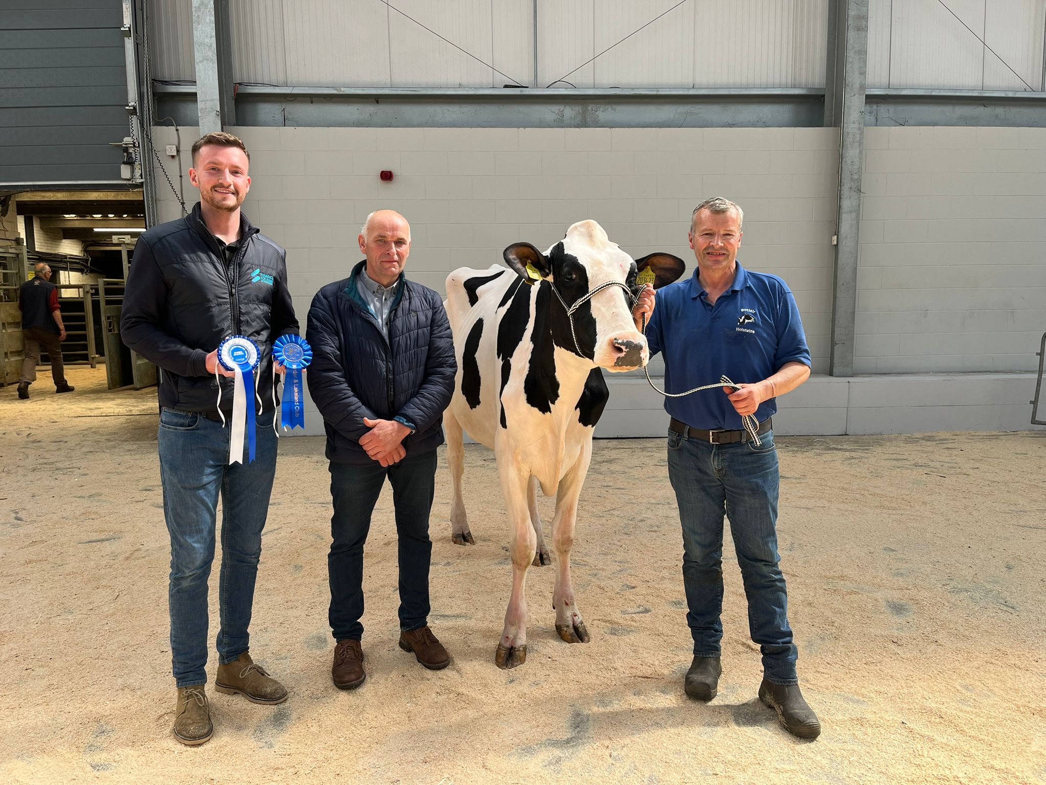 Border & Lakeland Holstein Club Sale