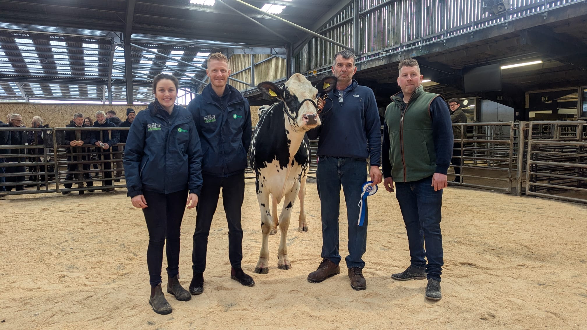 Border & Lakeland Holstein Club Sale